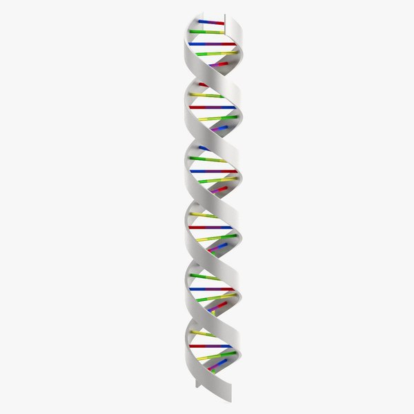 DNA3 3D 모델 - TurboSquid 848960