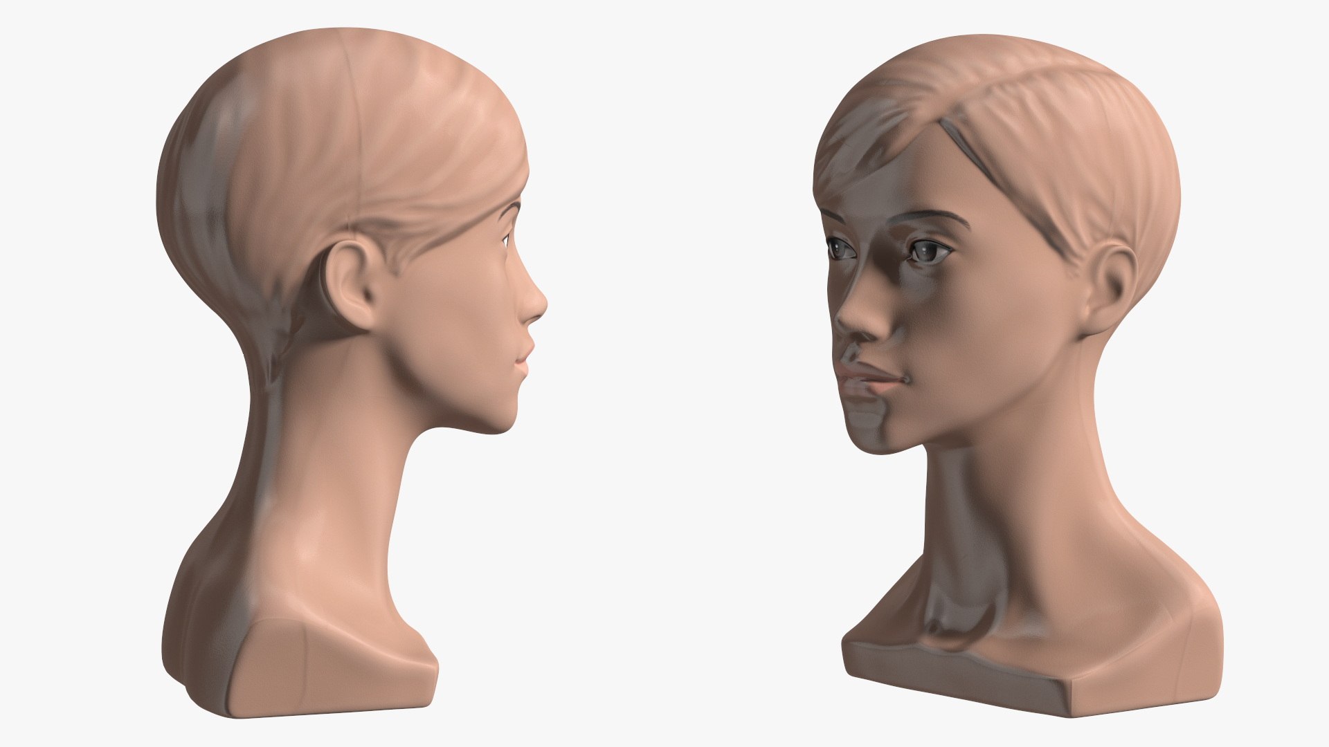 Plastic Female Mannequin Head With Hair 3D - TurboSquid 2211849