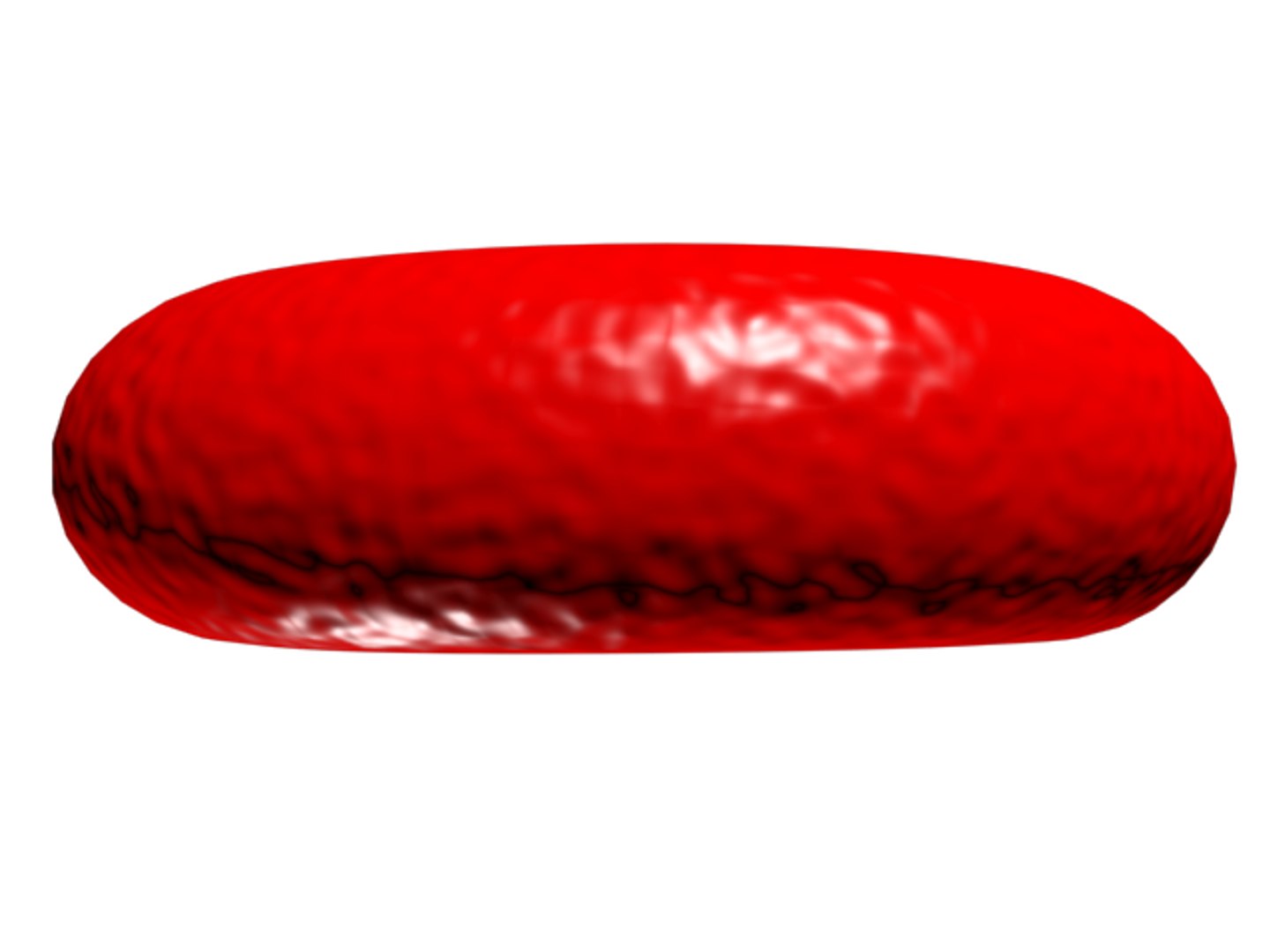 3d Blood Erythrocyte