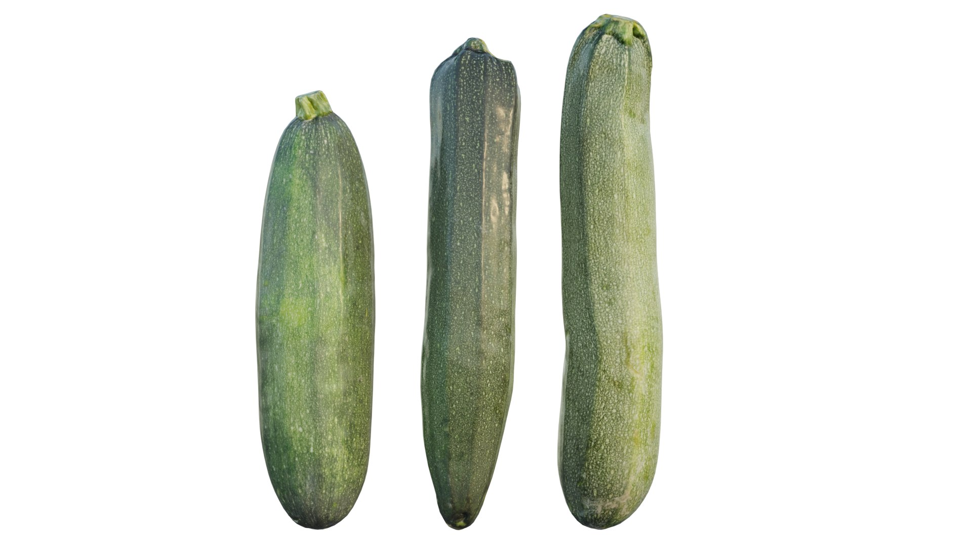 3D Model Large Courgette - TurboSquid 1903288