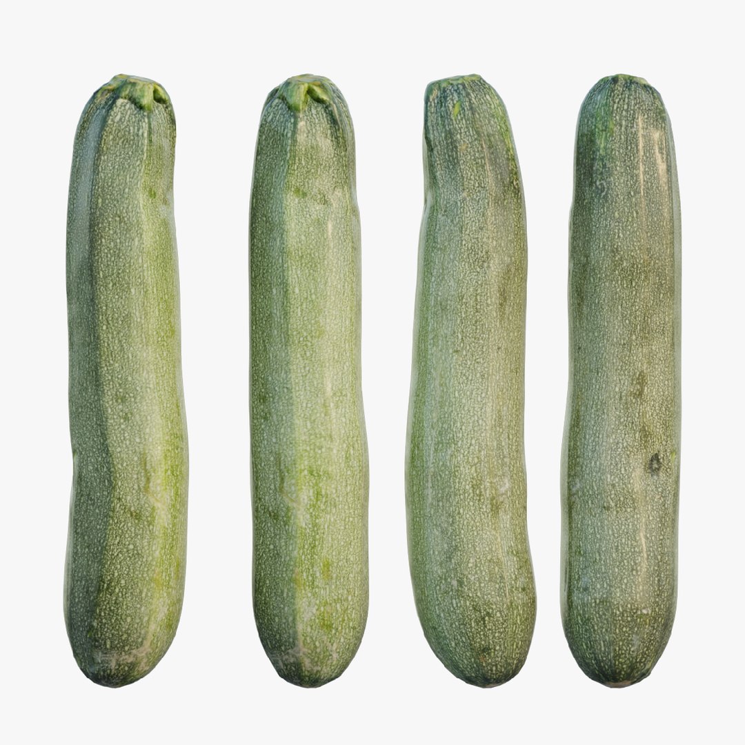 3D Model Large Courgette - TurboSquid 1903288