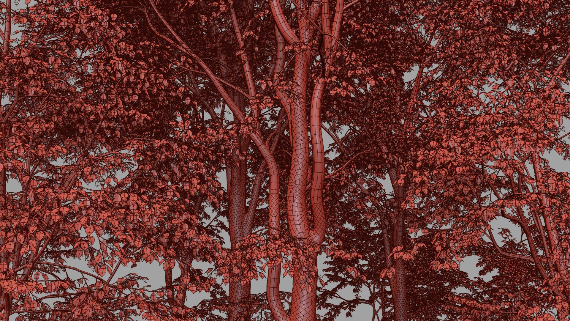 3D 10 Fagus Tree Snow Model - TurboSquid 1596979