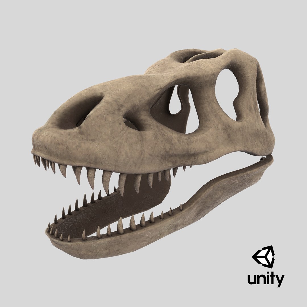 3D Tyrannosaurus Rex Skull Model - TurboSquid 2115422