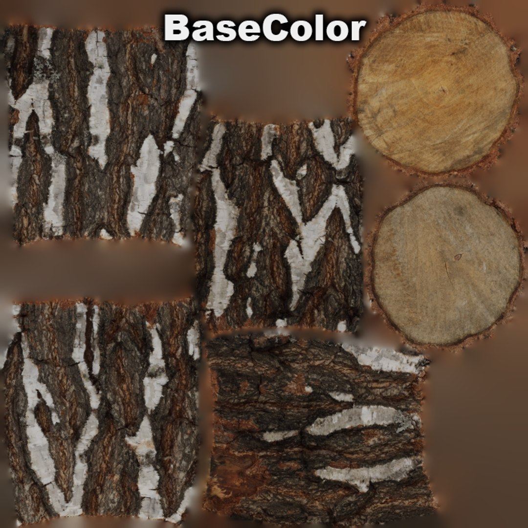 3D Birch Log Model - TurboSquid 1971491