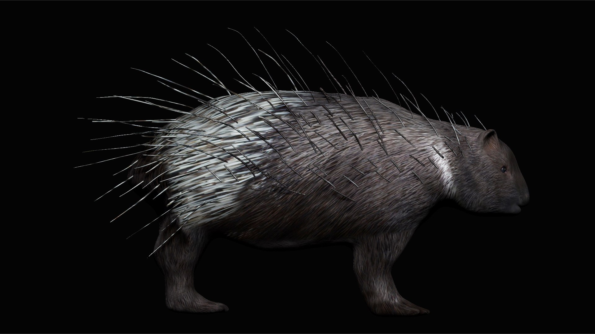 Fully Rigged Low Polygon Porcupine Model - TurboSquid 1717045