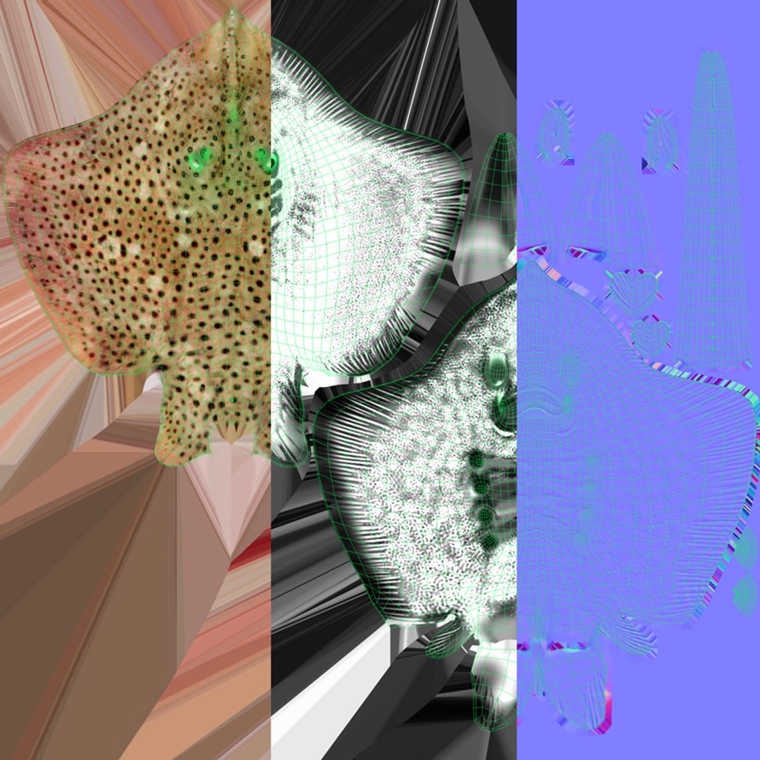 3D Stingray Animated Model - TurboSquid 2354956