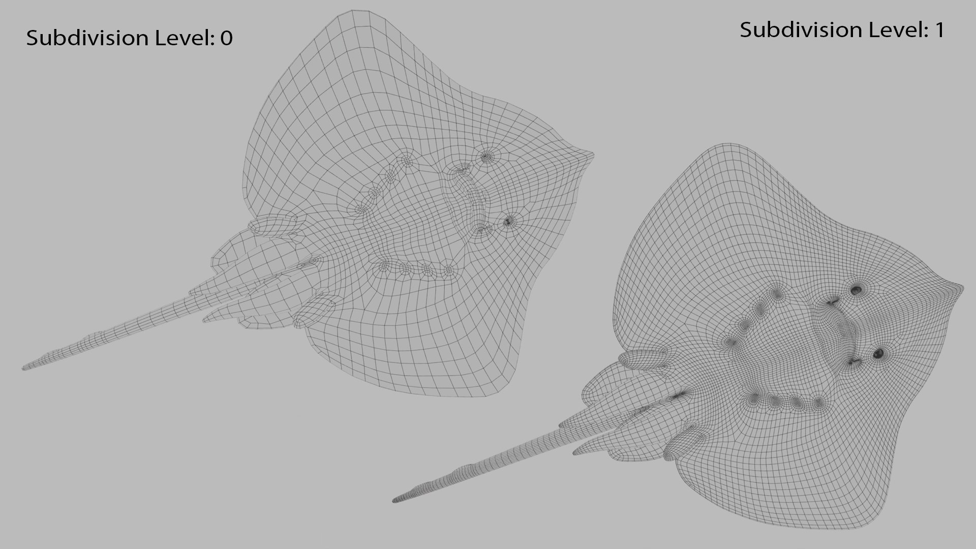 3D Stingray Animated Model - TurboSquid 2354956