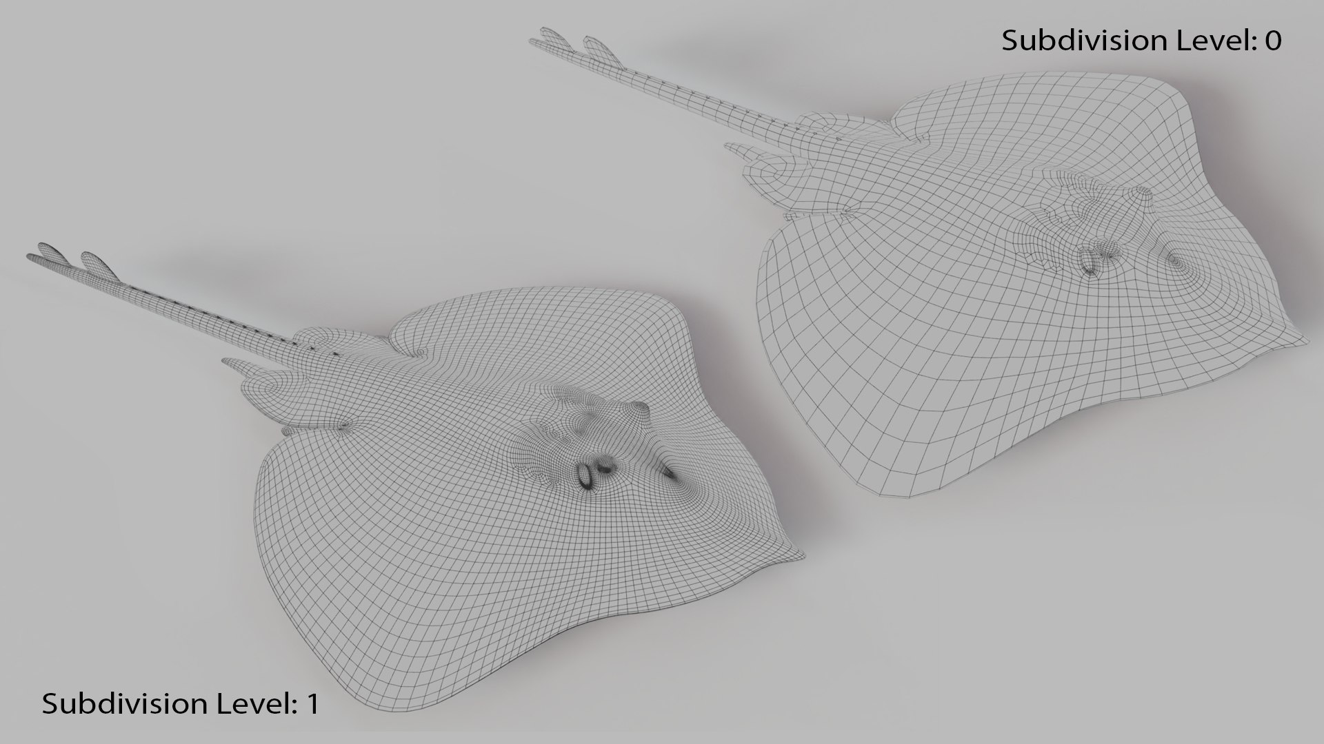 3D Stingray Animated Model - TurboSquid 2354956