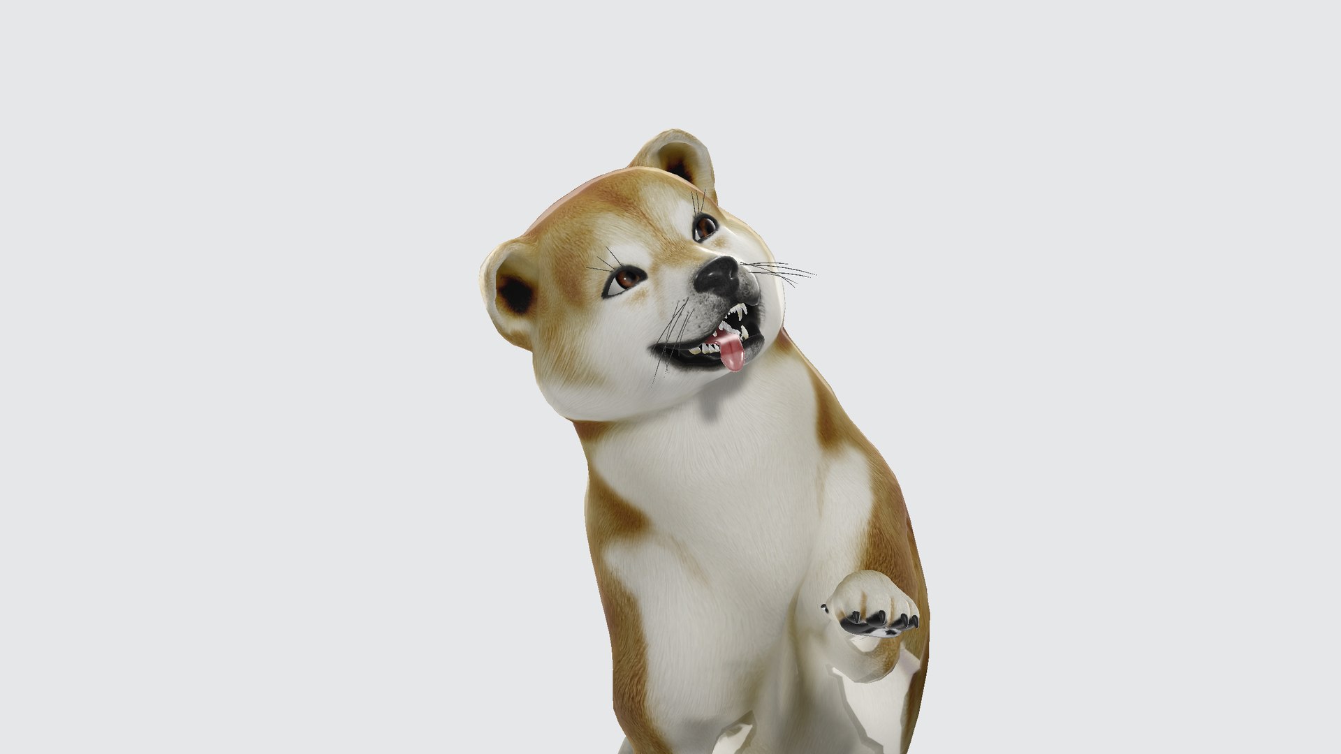 Shiba Inu Dog - Shake 3D Model - TurboSquid 2344702