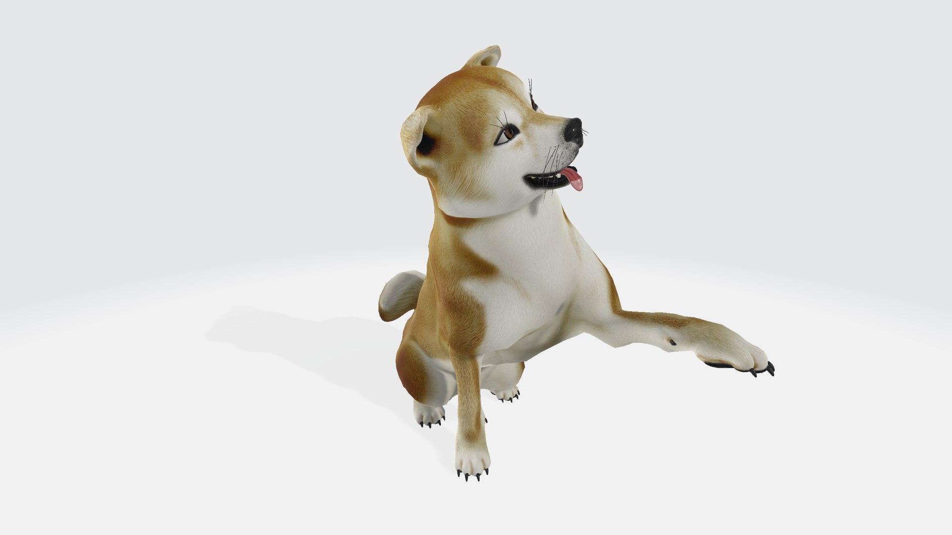 Shiba Inu Dog - Shake 3D Model - TurboSquid 2344702