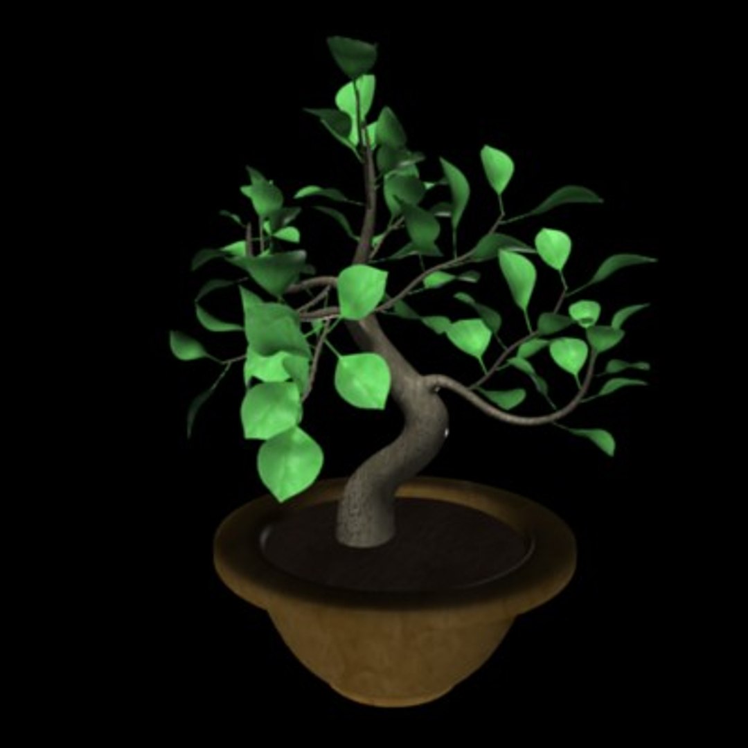 3d Model Bonsai Tree