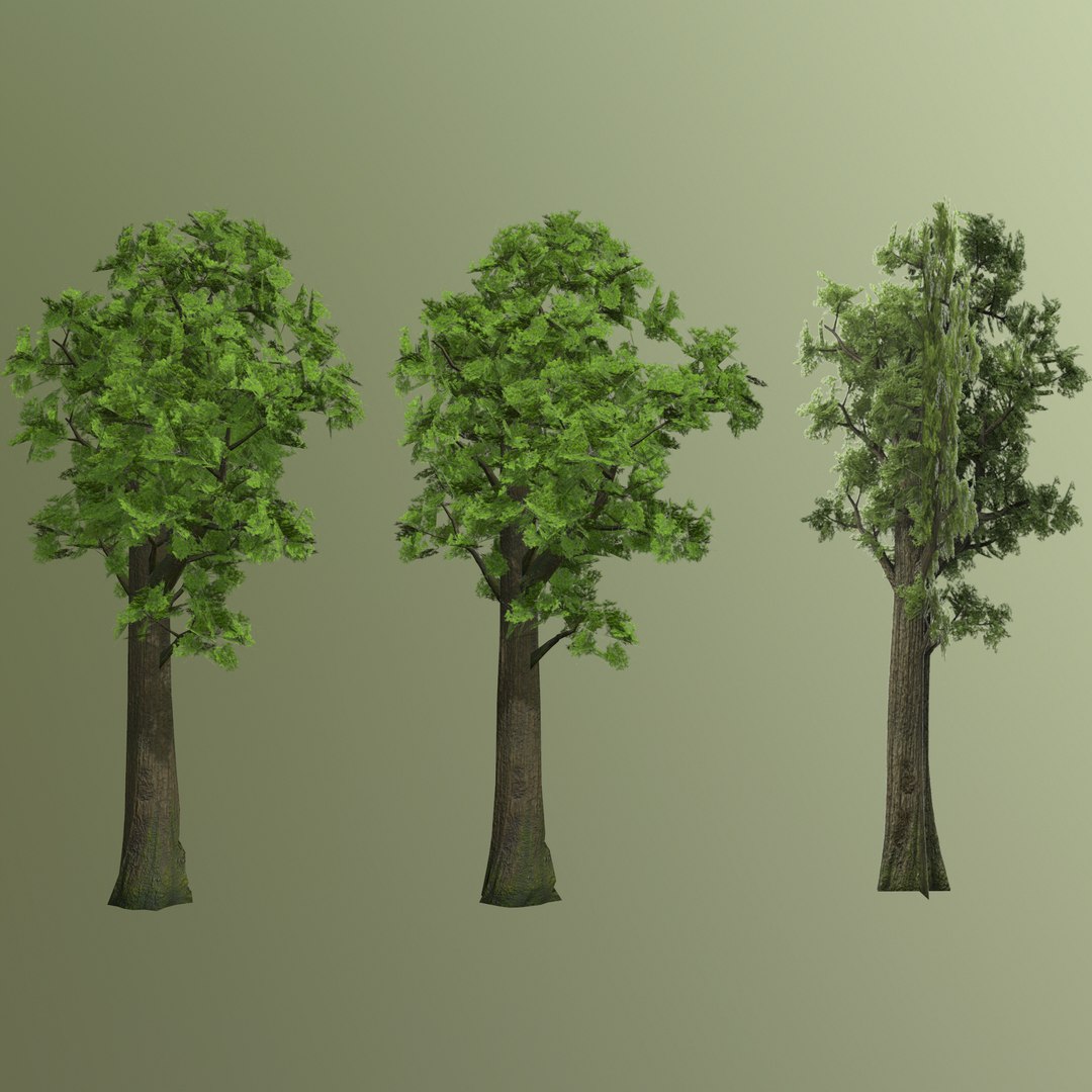 3D Pine Gaming Environment Model - TurboSquid 1241580