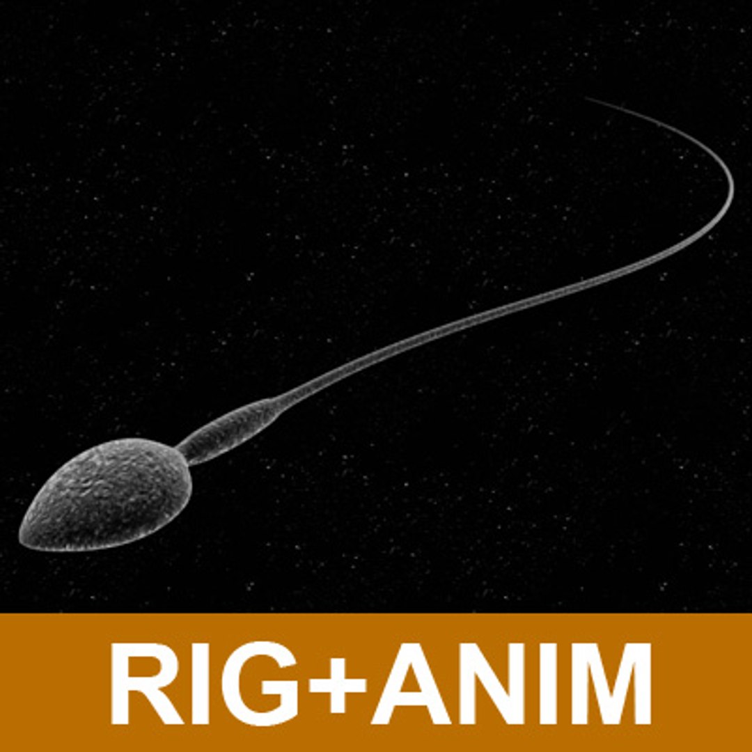 3dsmax sperm cell animations