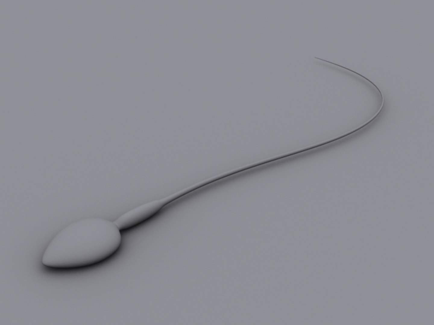 3dsmax sperm cell animations