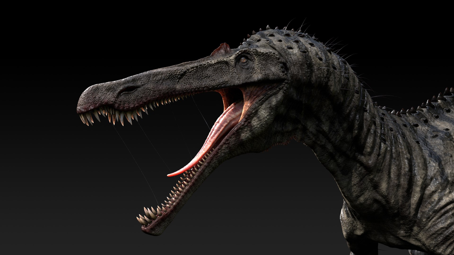 3D Model Suchomimus Tenerensis - TurboSquid 1545884