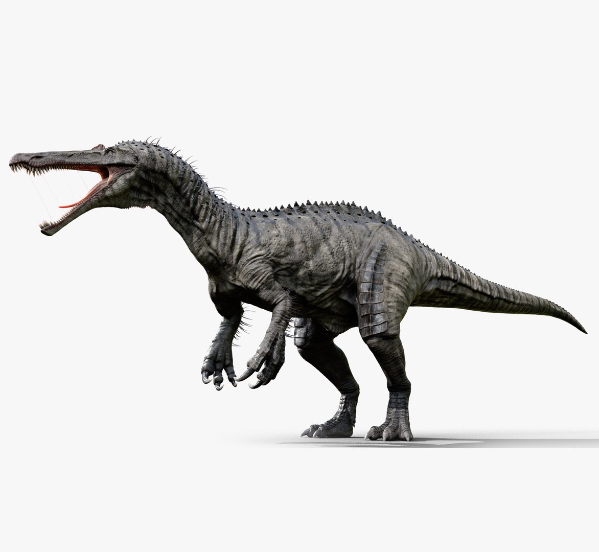 3D Model Suchomimus Tenerensis - TurboSquid 1545884