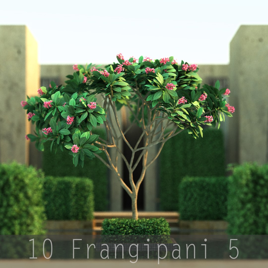 3d Trunk Flower 10 Tree Model