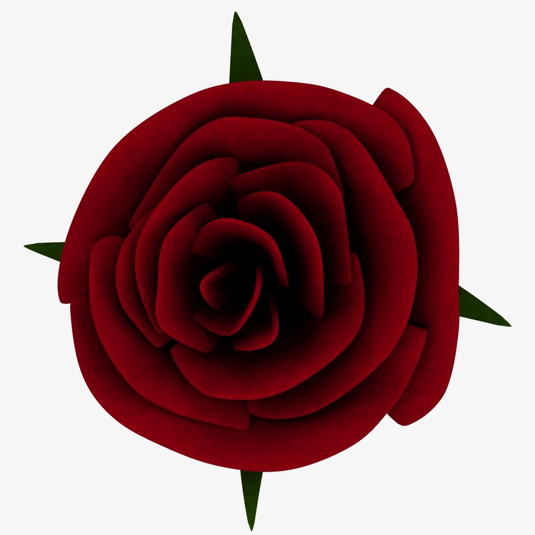 3d Model Red Rose