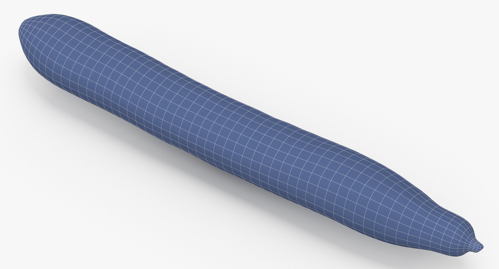 3D Persian Sfran Cucumber 02 Model - TurboSquid 1539327