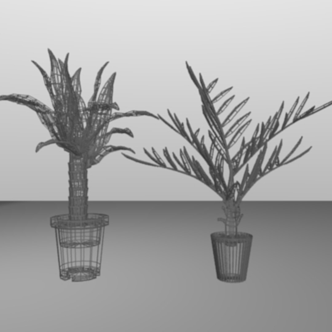 palm trees 3d obj