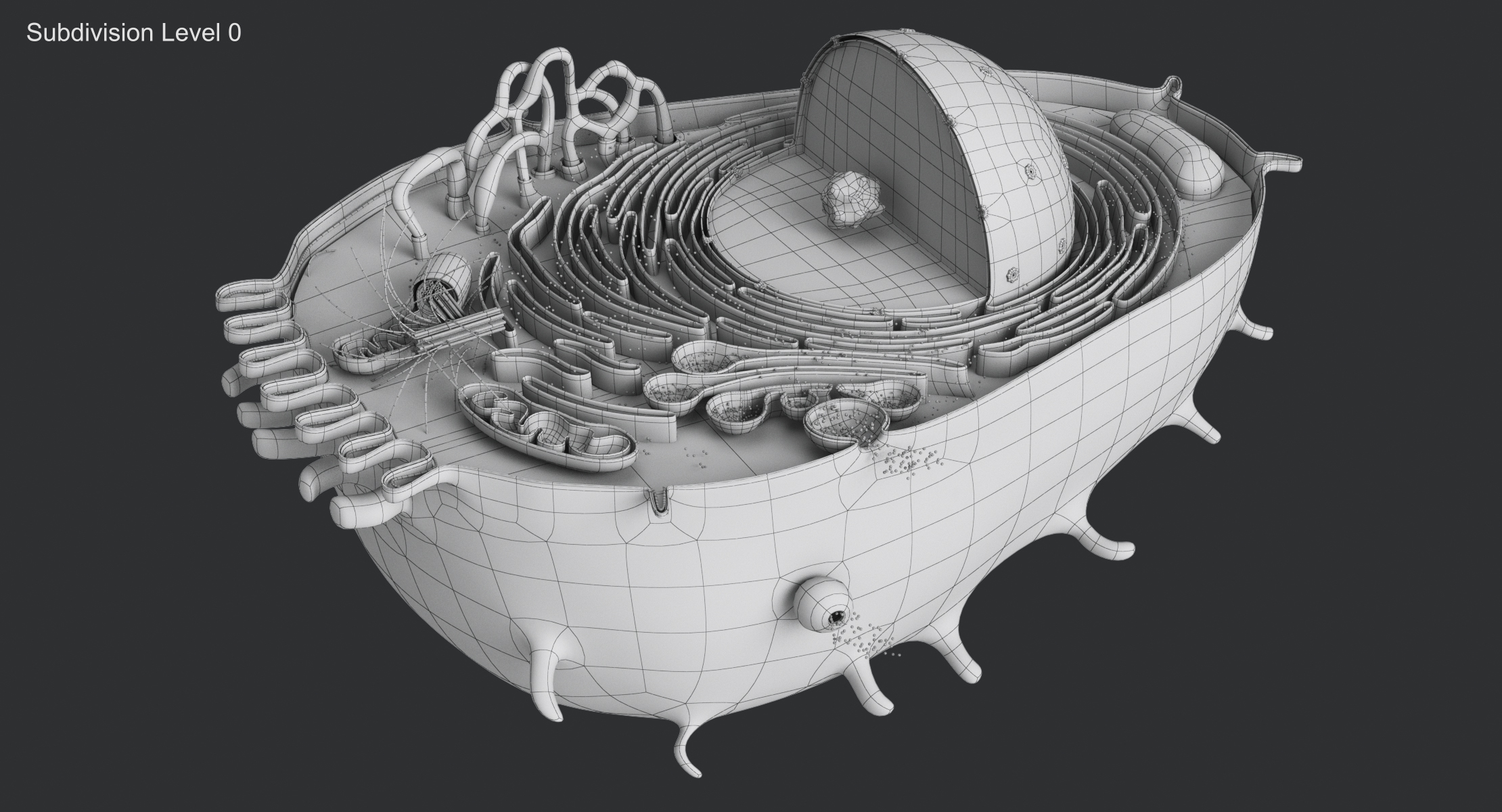 modelo 3d Célula animal 2 - TurboSquid 1412296