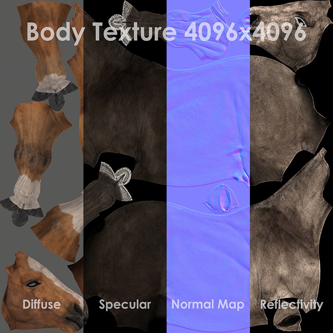 3d model realistic horse