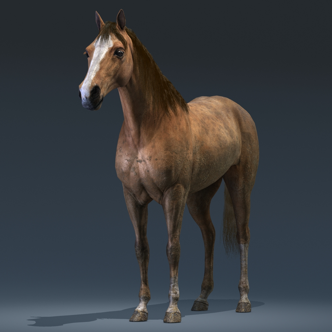 3d model realistic horse