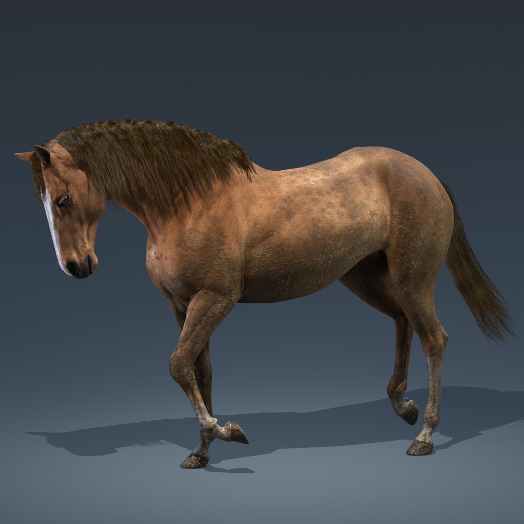 3d Model Realistic Horse