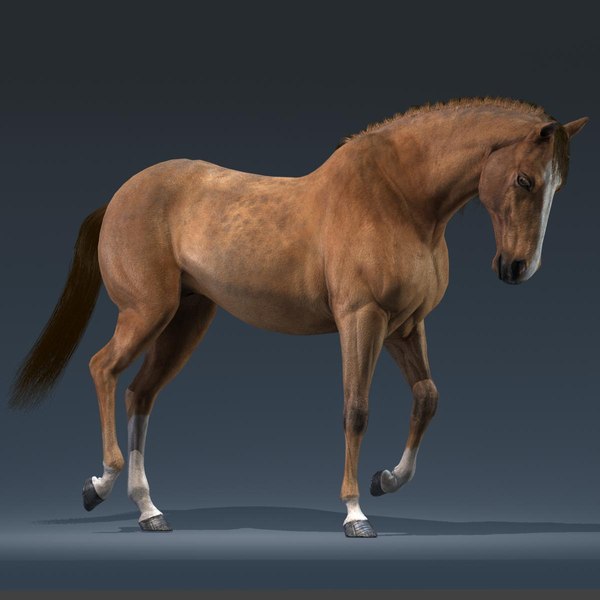 3d model realistic horse