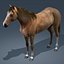3d Model Realistic Horse