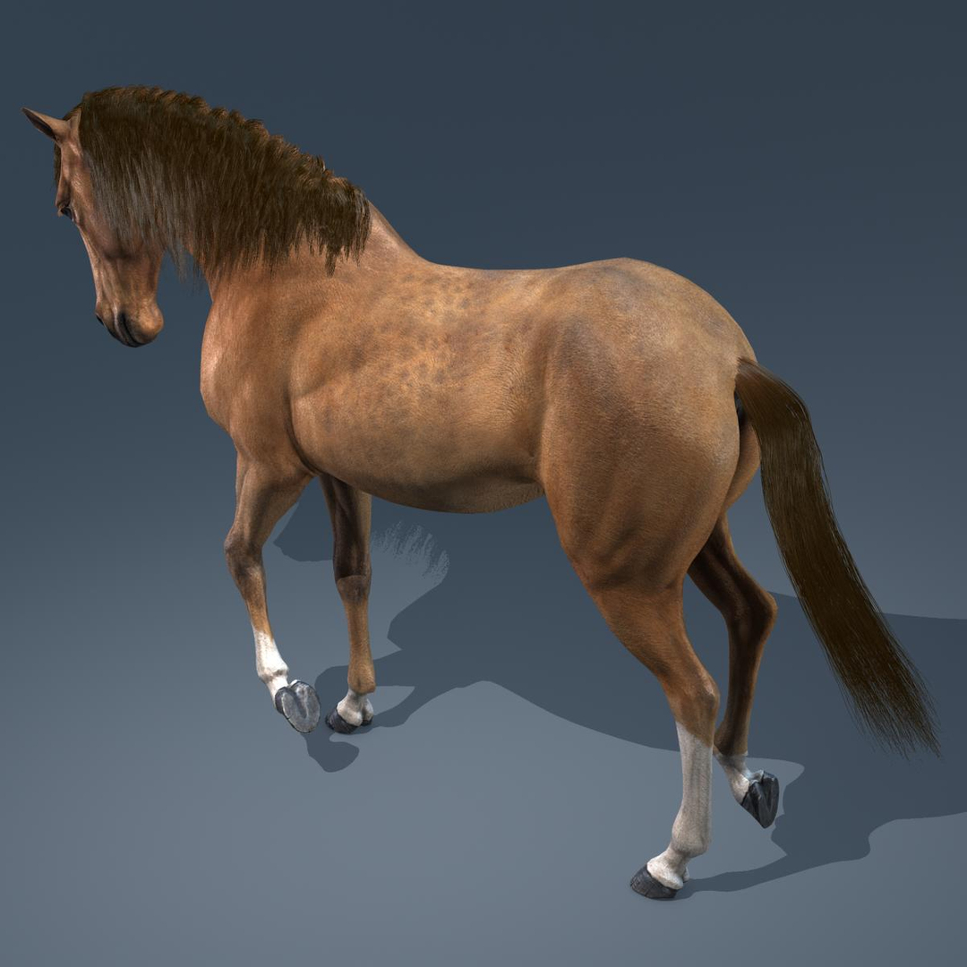 3d model realistic horse
