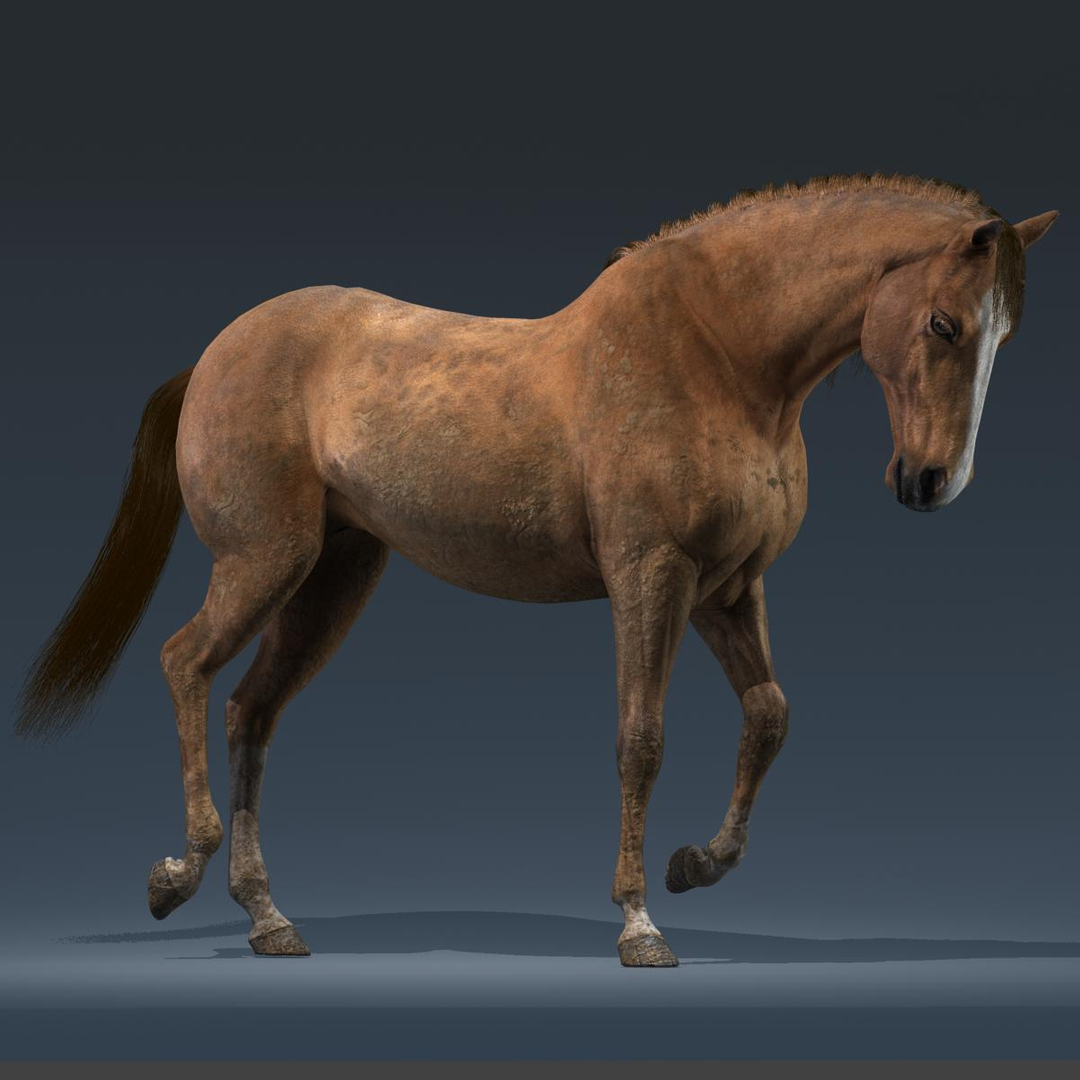 3d model realistic horse
