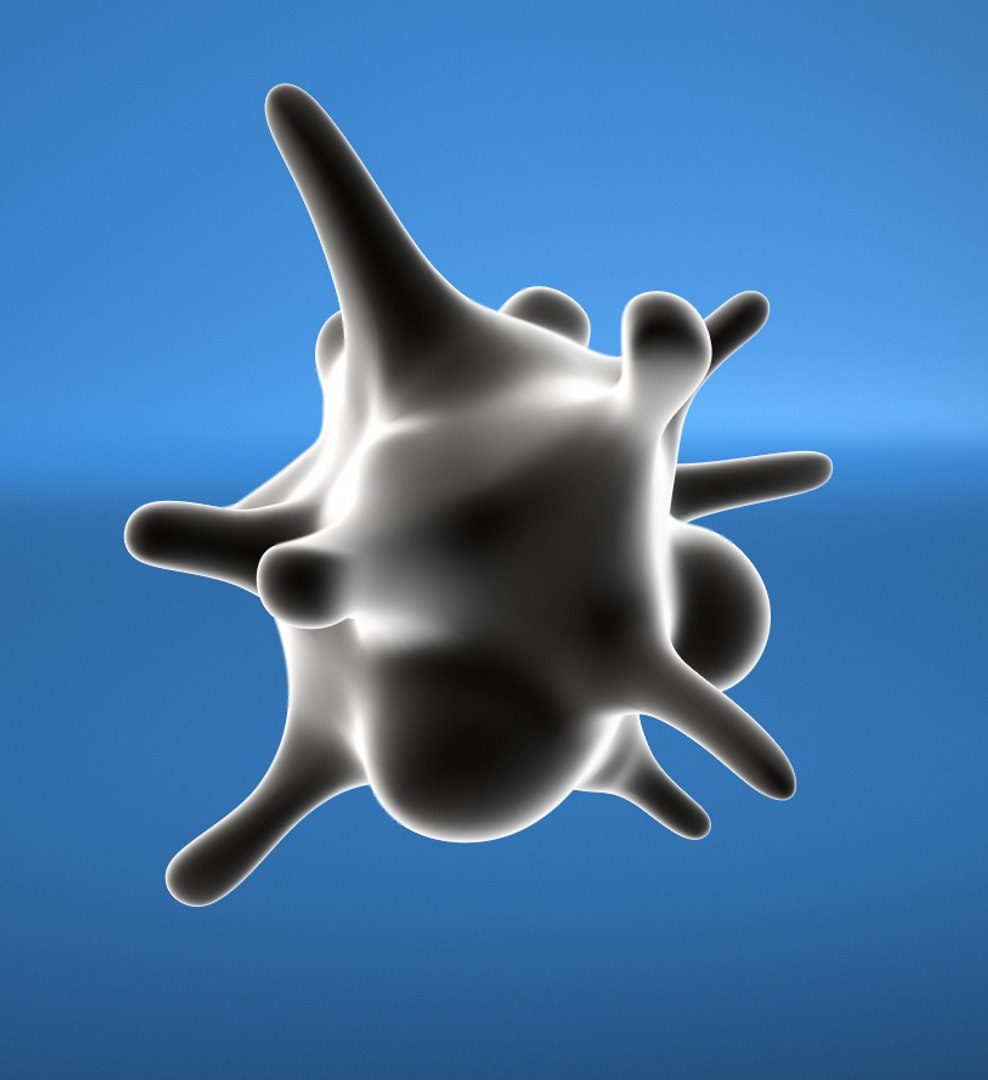 3d Amoeba Model