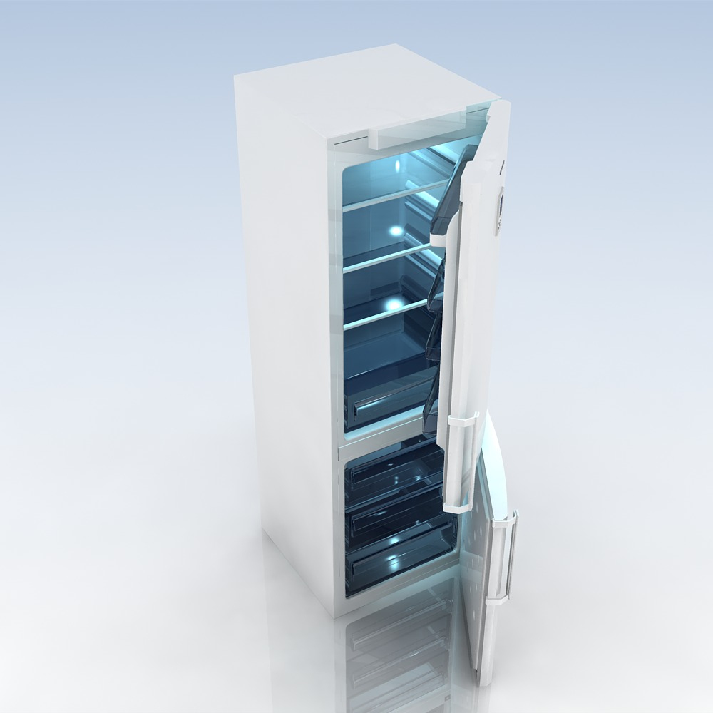 fridge samsung rl 40 max