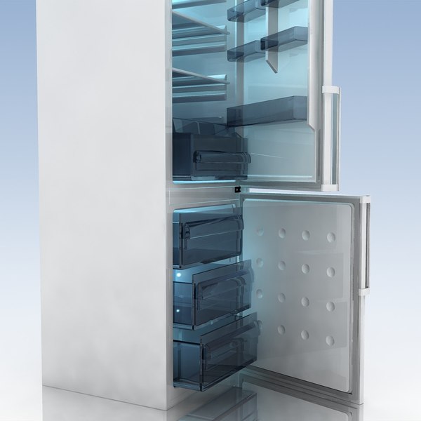fridge samsung rl 40 max
