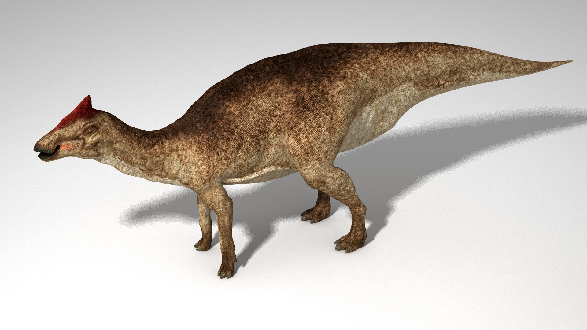 보나파르테사우루스 3D 모델 - TurboSquid 1825499