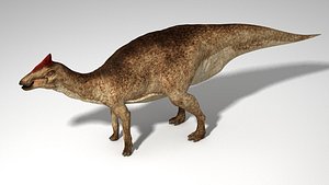 Animal 3D Models for Download | TurboSquid