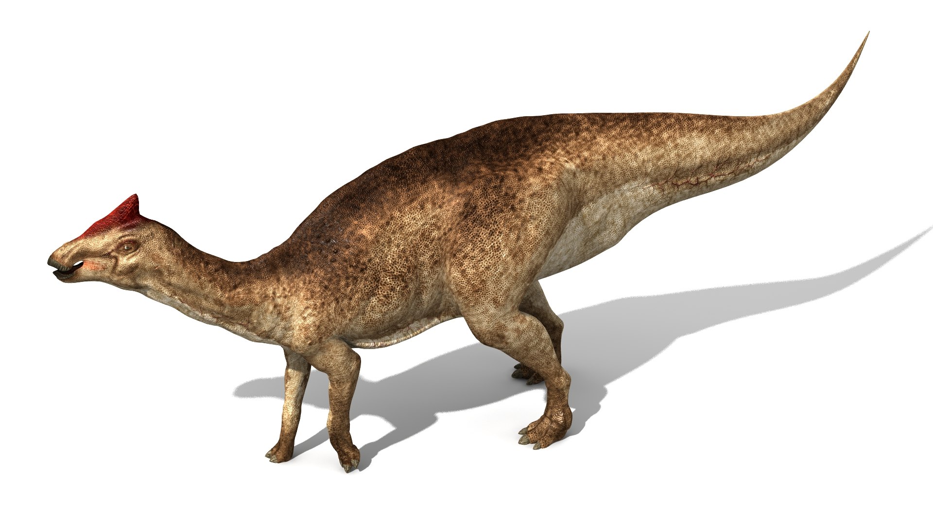 Bonapartesaurus Model - TurboSquid 1825499