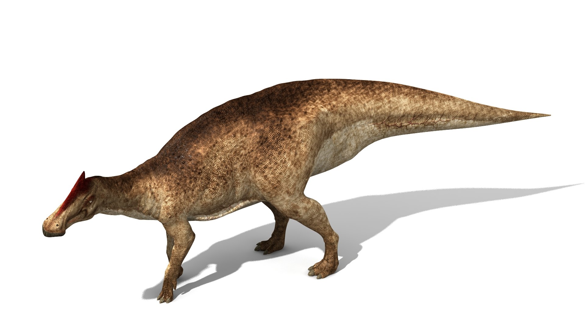 Bonapartesaurus Model - TurboSquid 1825499