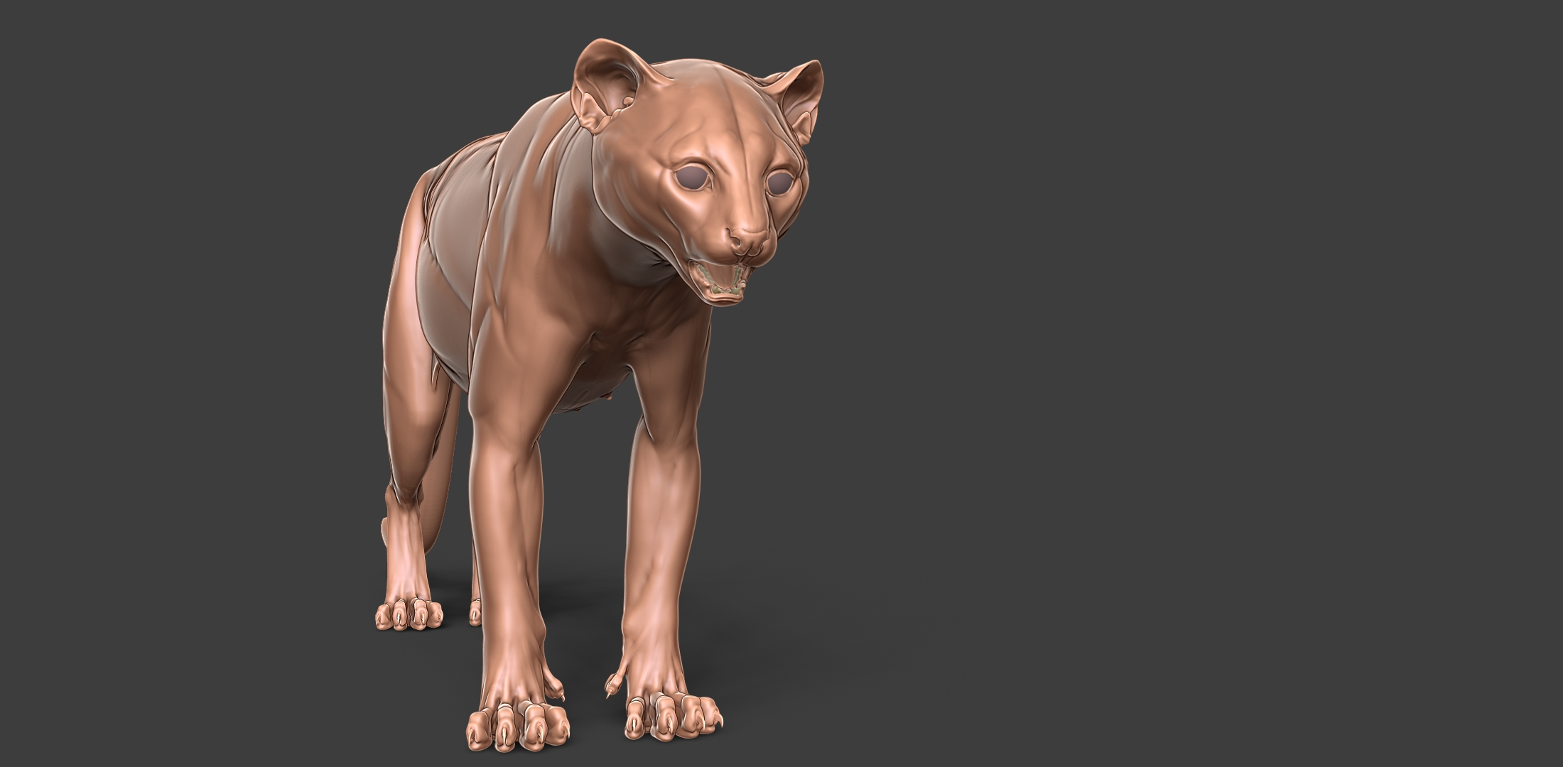 재규어런디 고양이 프라이머리 폼 Zbrush Sculpt 3D 모델 - TurboSquid 1818644