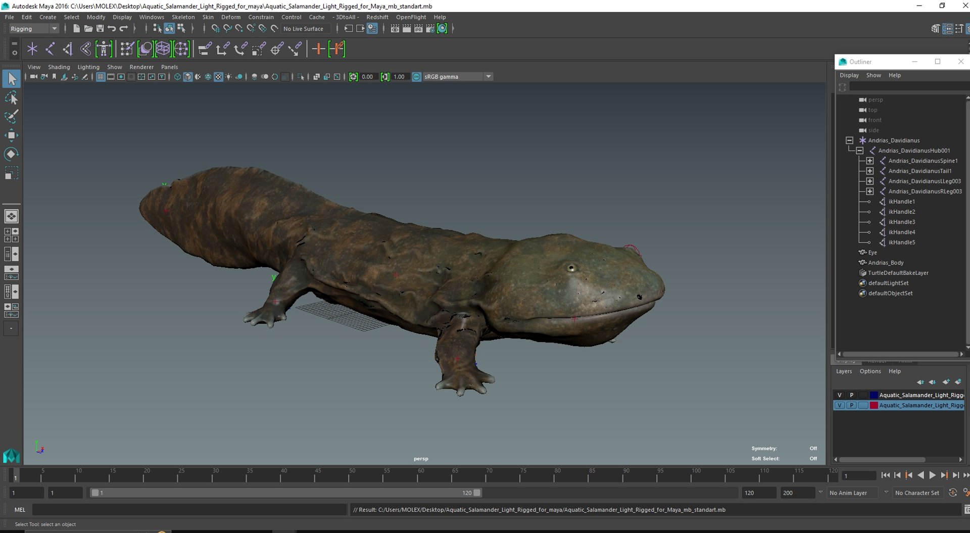 3D Model Aquatic Salamander Light Rigged For Maya - TurboSquid 2258203