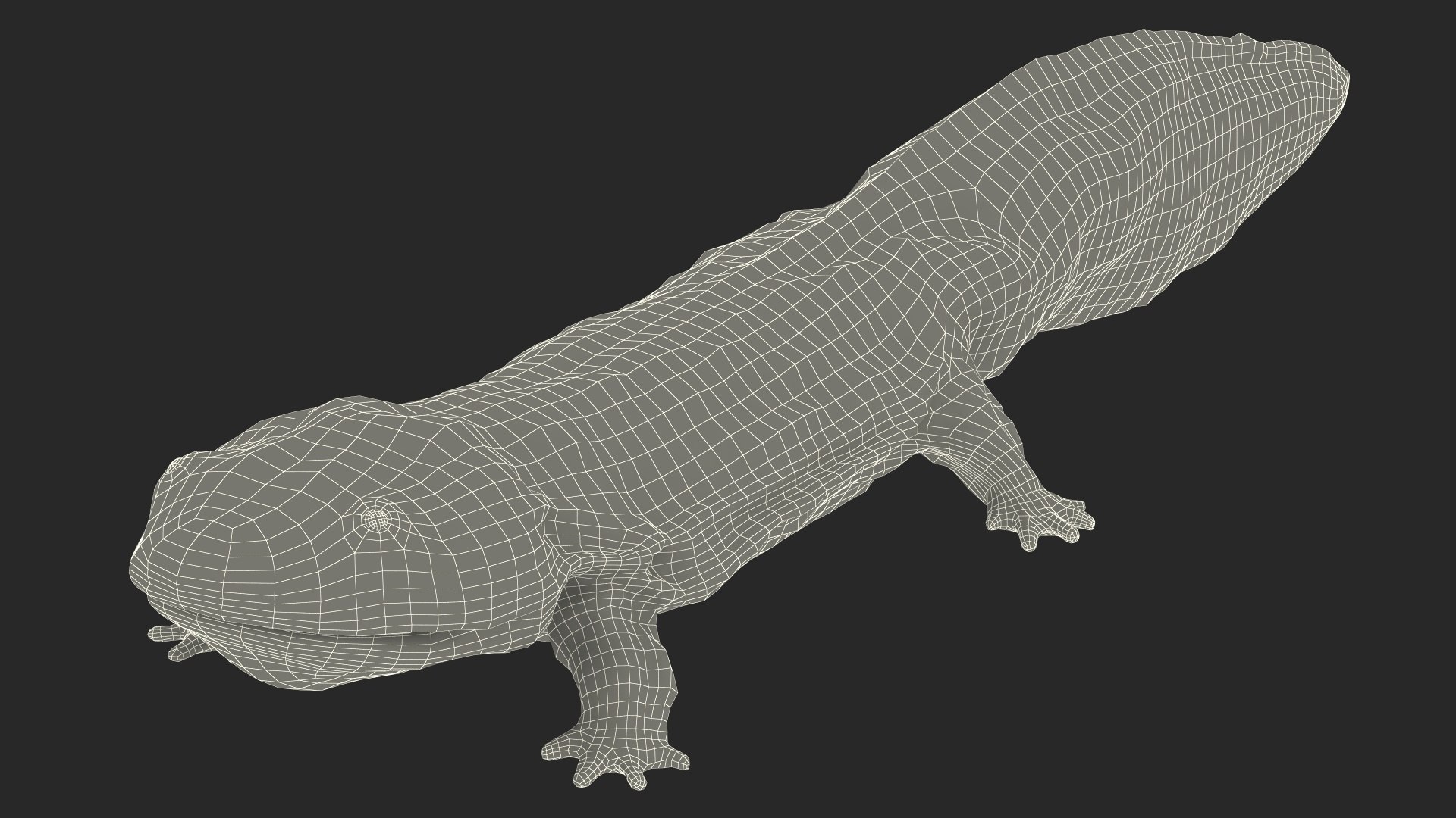 3D Model Aquatic Salamander Light Rigged For Maya - TurboSquid 2258203
