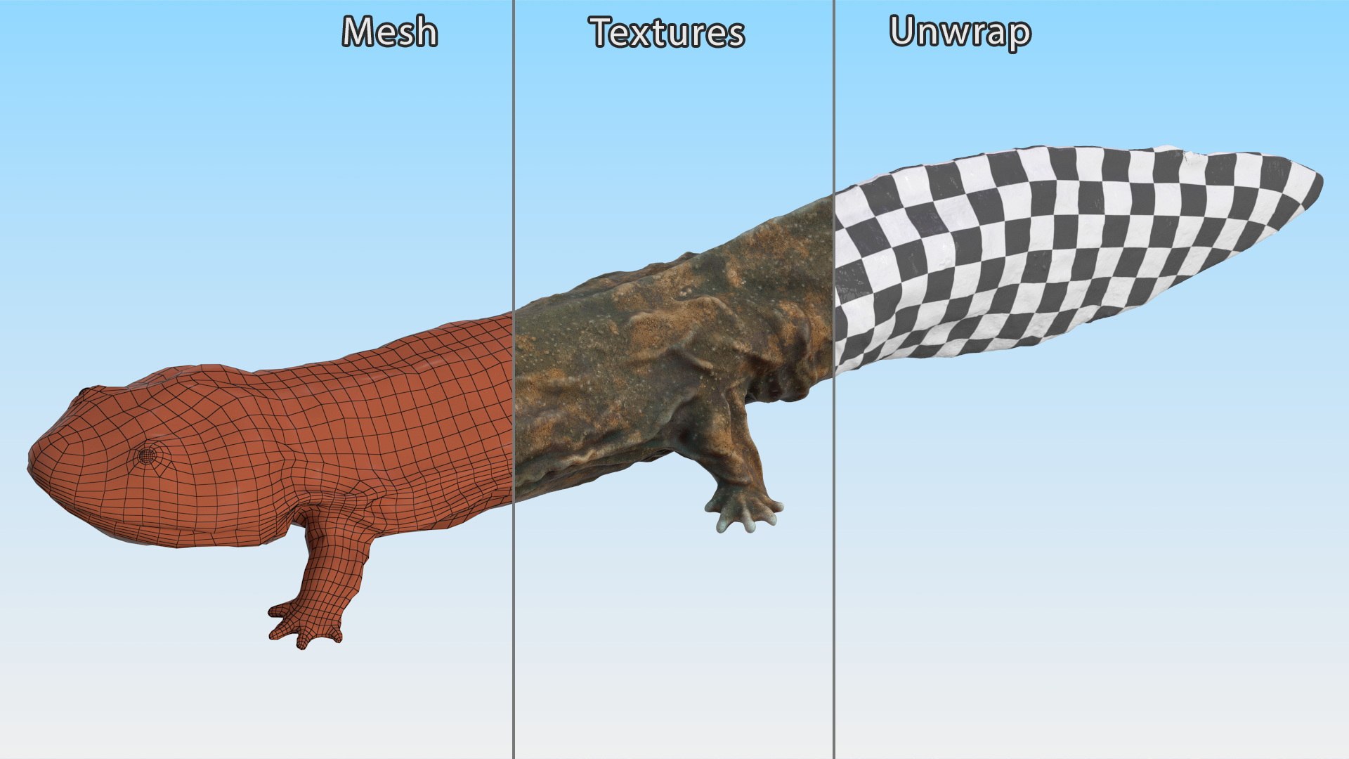 3D Model Aquatic Salamander Light Rigged For Maya - TurboSquid 2258203