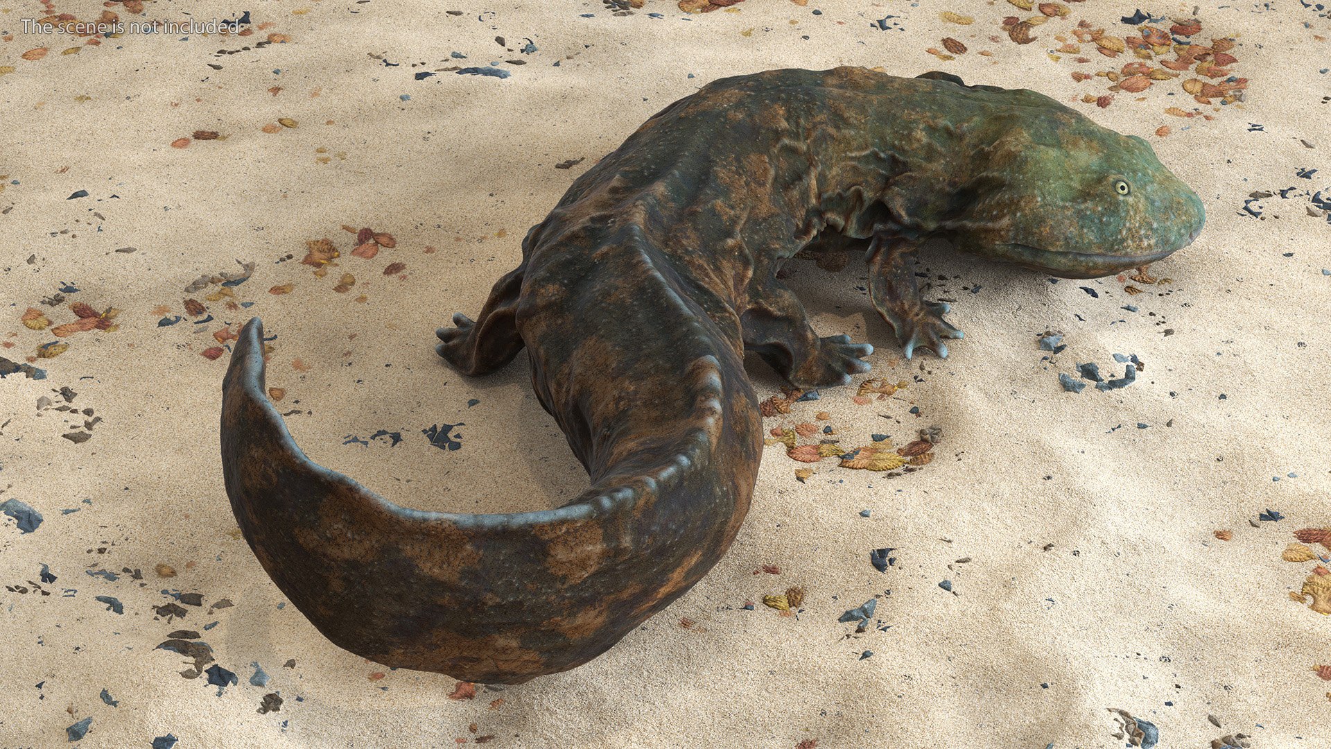 3D Model Aquatic Salamander Light Rigged For Maya - TurboSquid 2258203