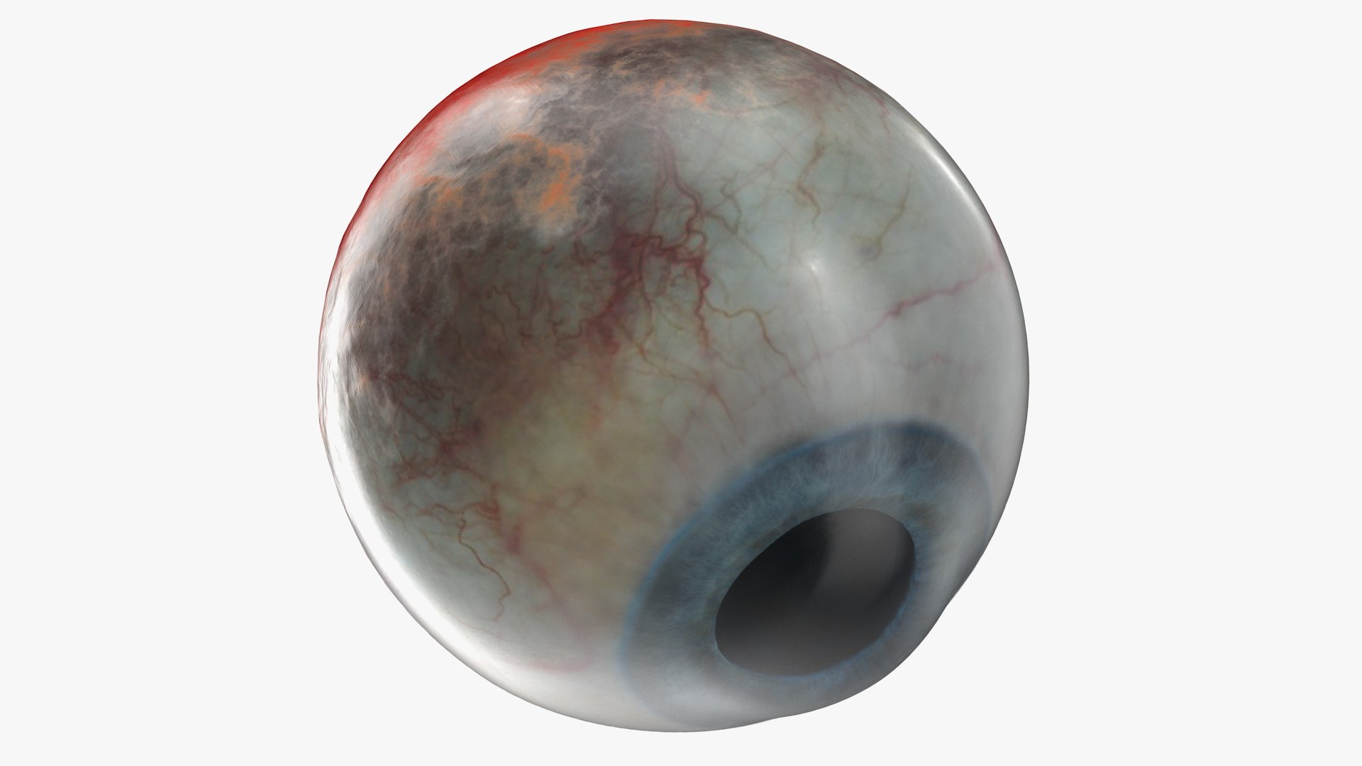 Human Eye 3D Model - TurboSquid 1465870