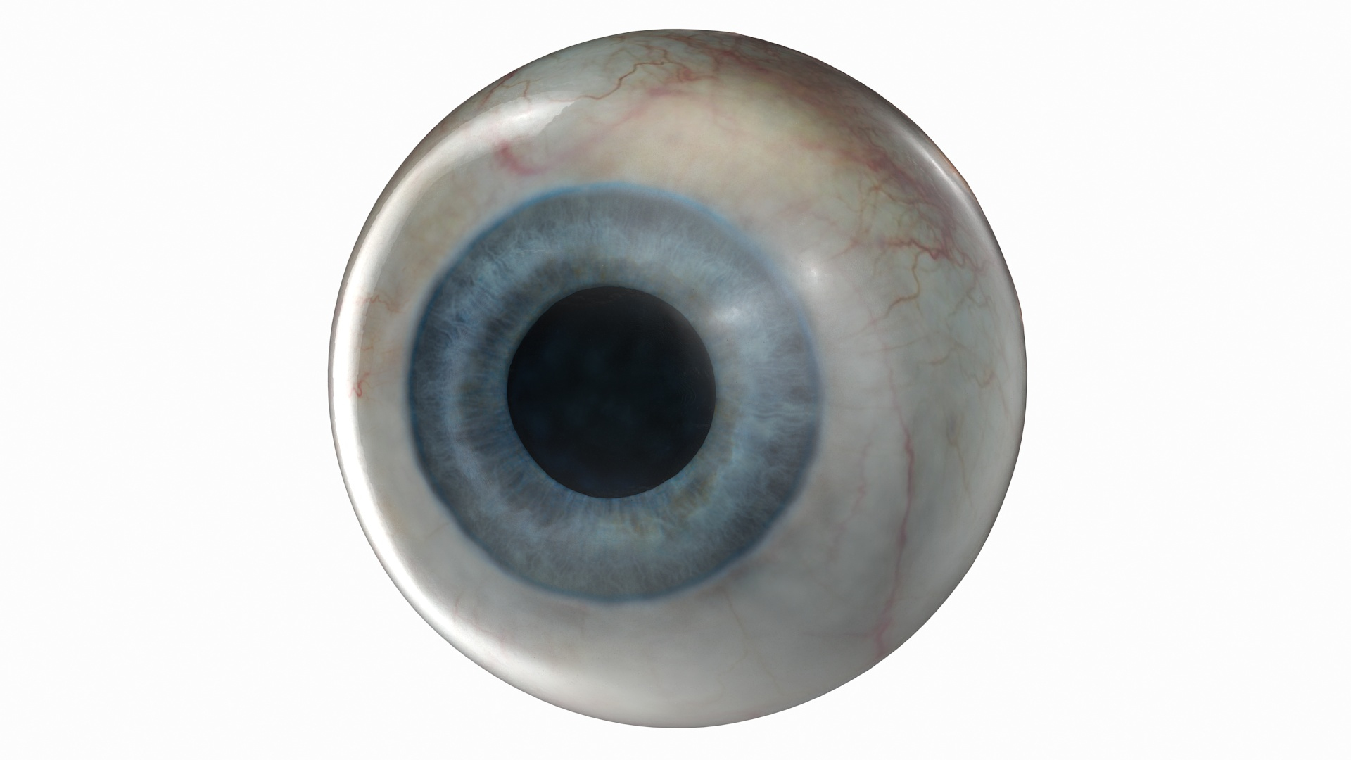 Human Eye 3D Model - TurboSquid 1465870