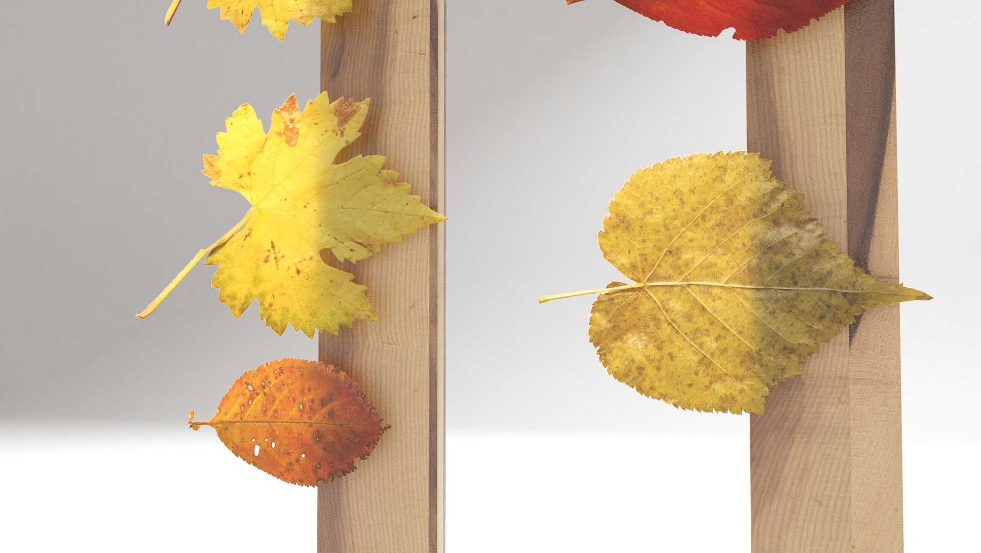 3D Dry Leaves Model - TurboSquid 1527166