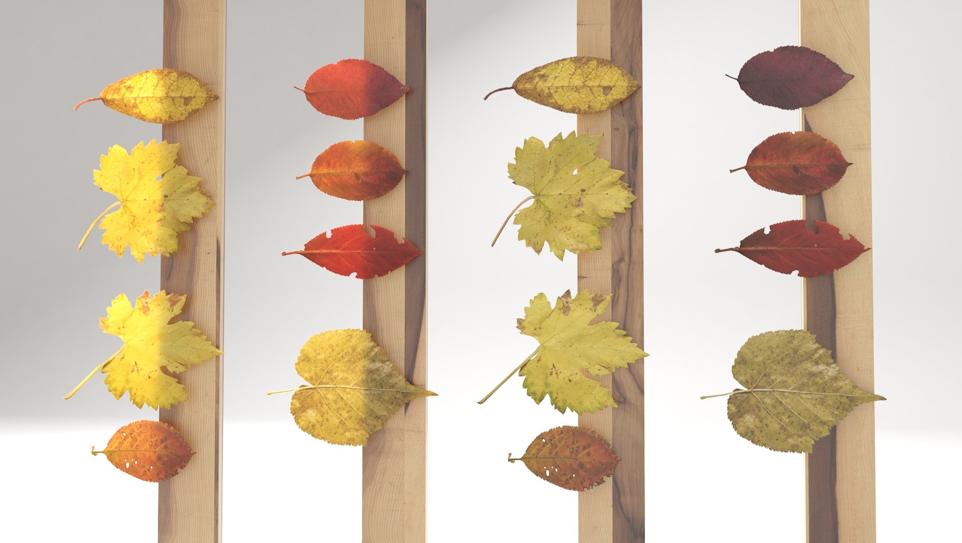 3D Dry Leaves Model - TurboSquid 1527166