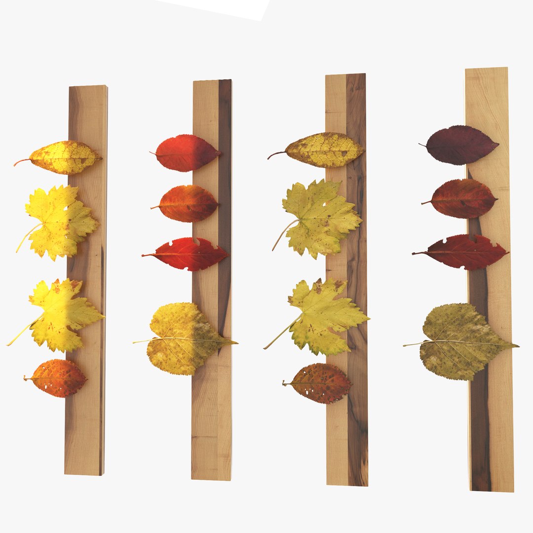 3D Dry Leaves Model - TurboSquid 1527166