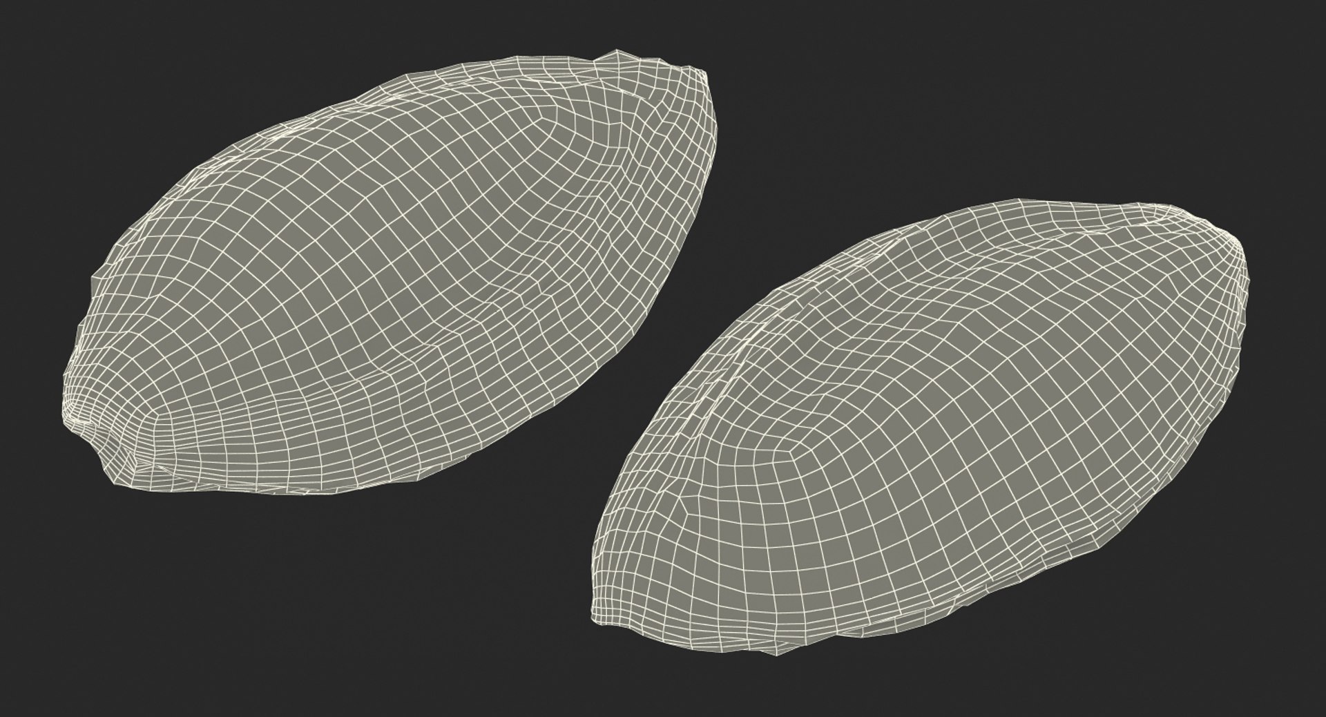 Fruit seeds 3D model - TurboSquid 1235533